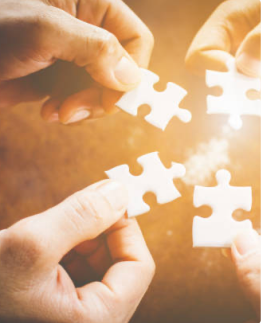 AP Government | APIIC